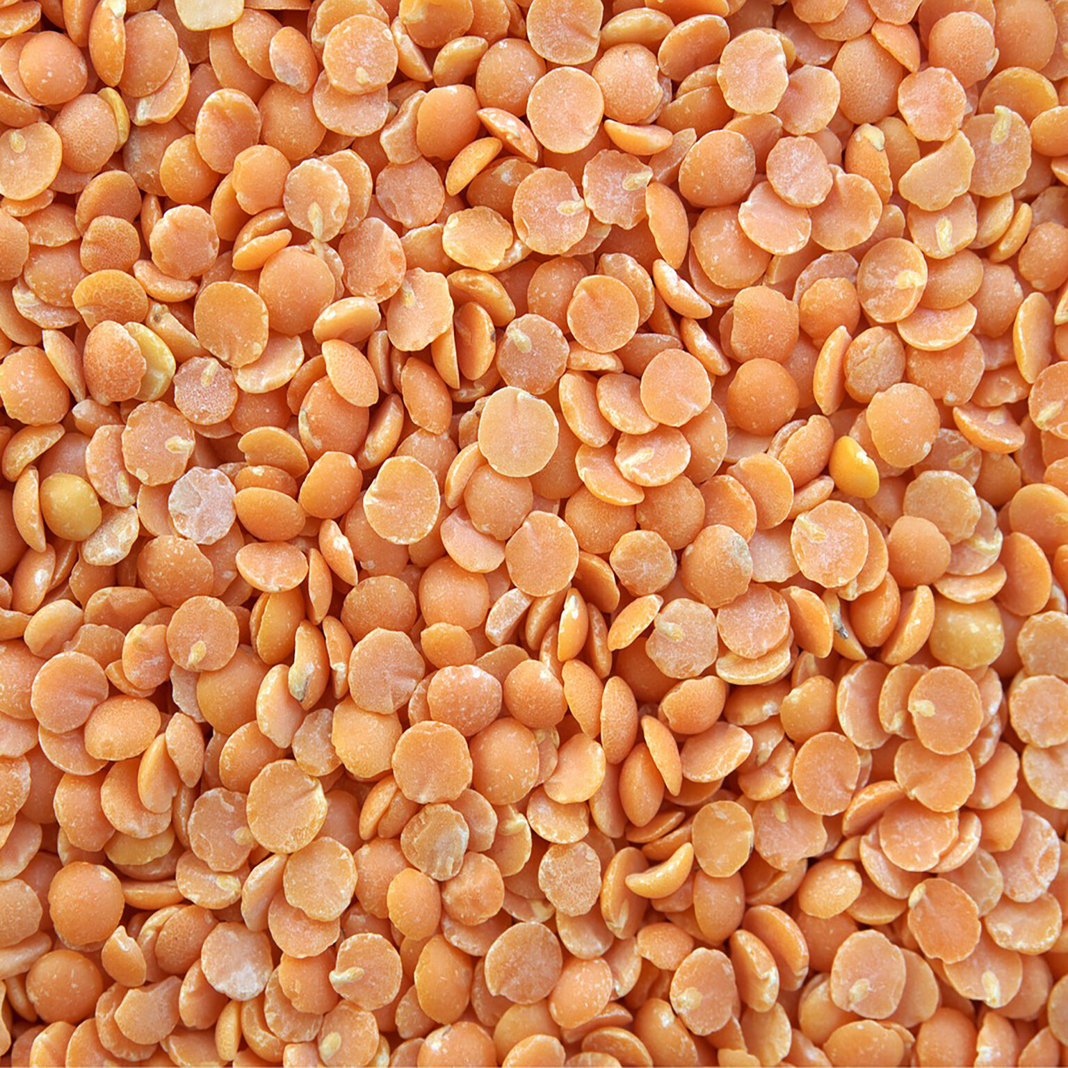 Ethnic Goods Wholesaler – Nutrifreshfoods Montreal